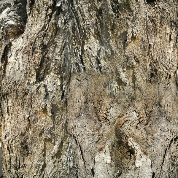 Texture Windows Bitmap bark tree stump