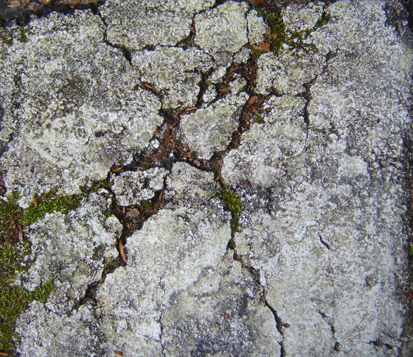 Texture JPEG crack texture ground