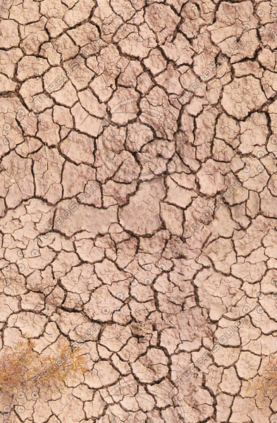 Texture JPEG Cracked Ground desert