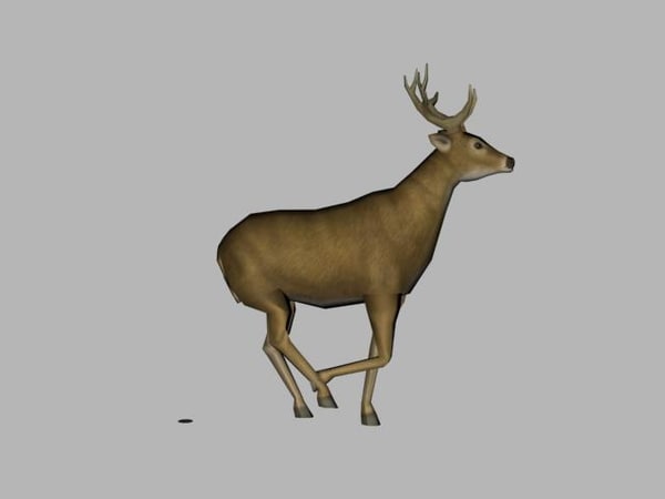 Motion Character Studio Biped deer throtting animal
