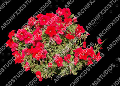 Texture TIFF flowers landscape foliage