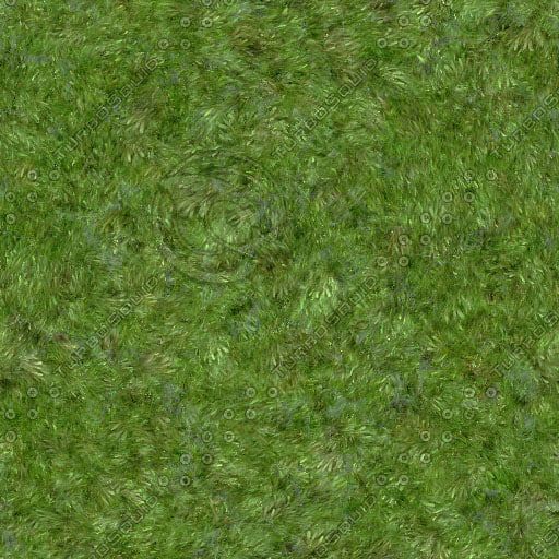 Texture JPEG Landscape Ground Grass
