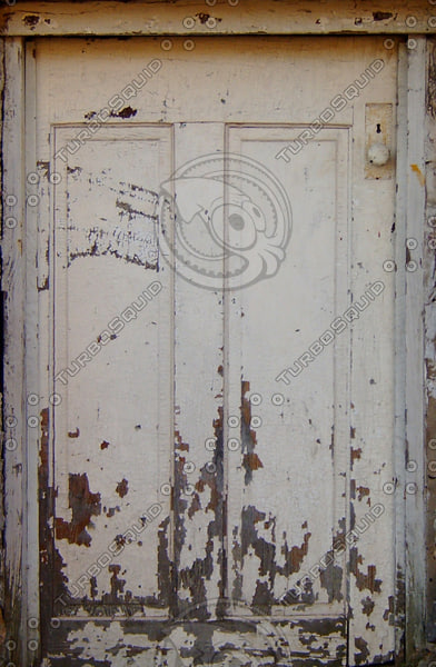 Texture JPEG wood door texture