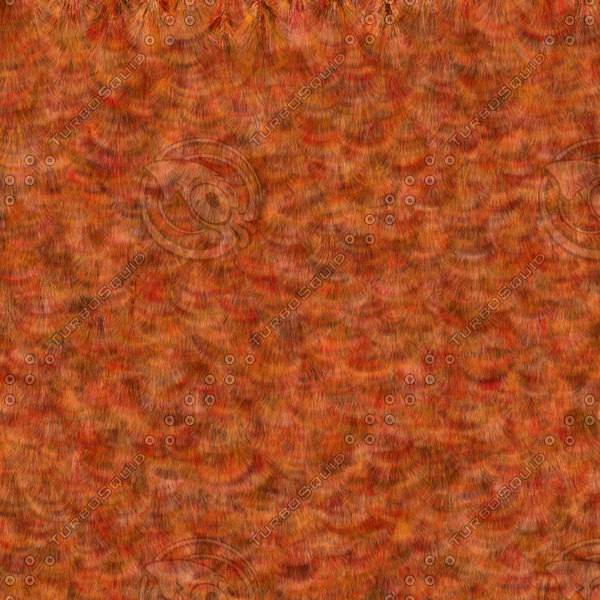 Texture JPEG fur red fox