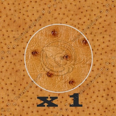 Texture JPEG ostrich skin fur