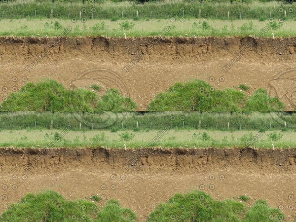 Texture JPEG riverbank bank texture