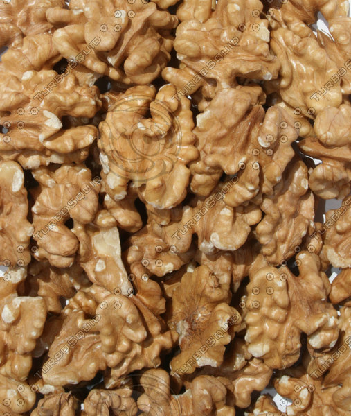 Texture JPEG texture wallnut nut