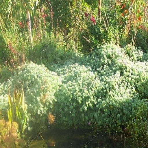 Stock JPEG landscape bush trees