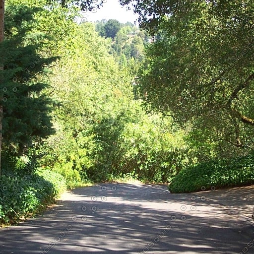 Stock JPEG nature drive street
