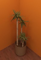 Building Revit Family Snake Plant Planter