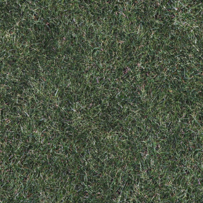 Texture Windows Bitmap Medieval Castle Texture