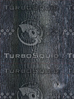 Texture TIFF tree bark forest