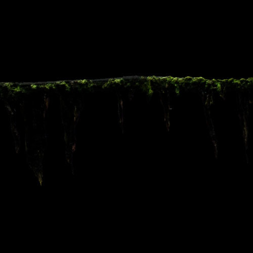 Texture PNG rope seaweed string