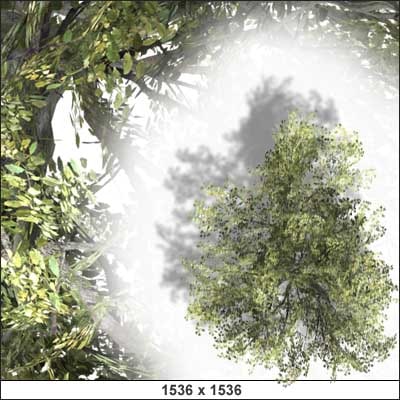 Texture Photoshop top view middle