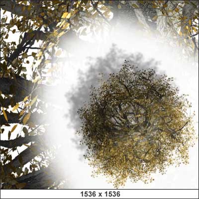 Texture Photoshop top view middle