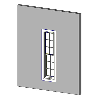 Building Revit Family window