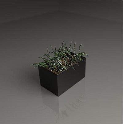 Building Revit Family Snake Plant Planter