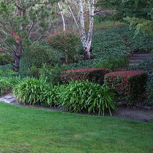 Stock JPEG landscape.path walkway bushs