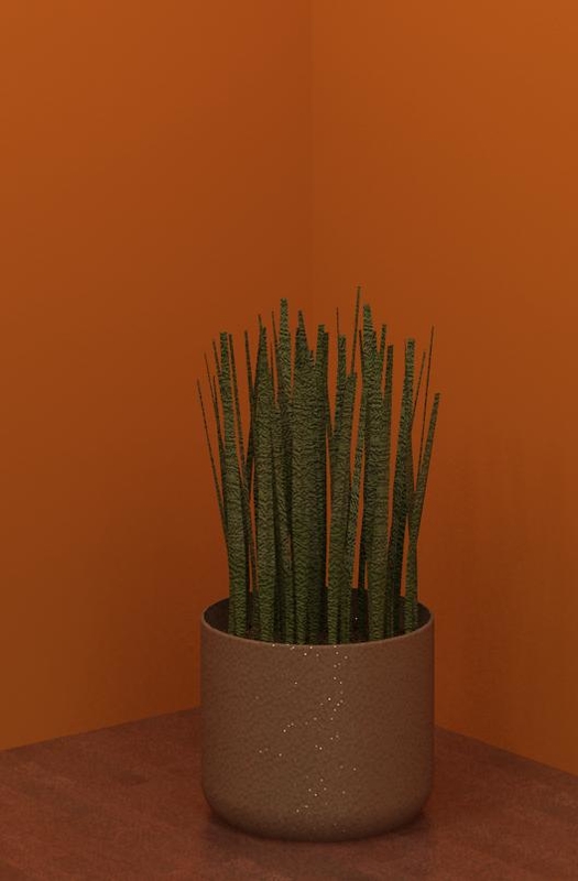 Building Revit Family Snake Plant Planter