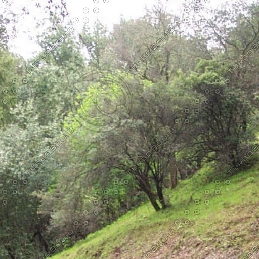 Stock JPEG landscape bushes trees