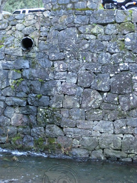 Stock JPEG stone sewer moss