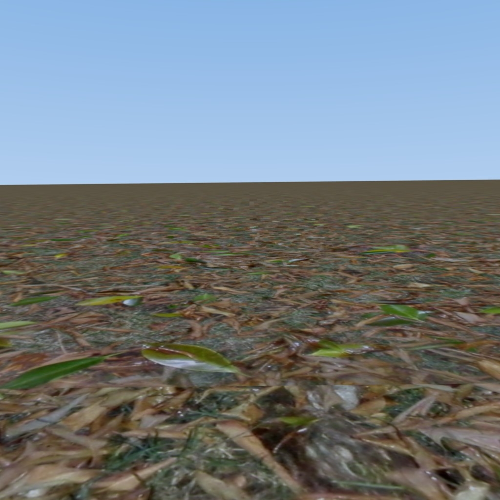 Texture JPEG grass leafy leaves