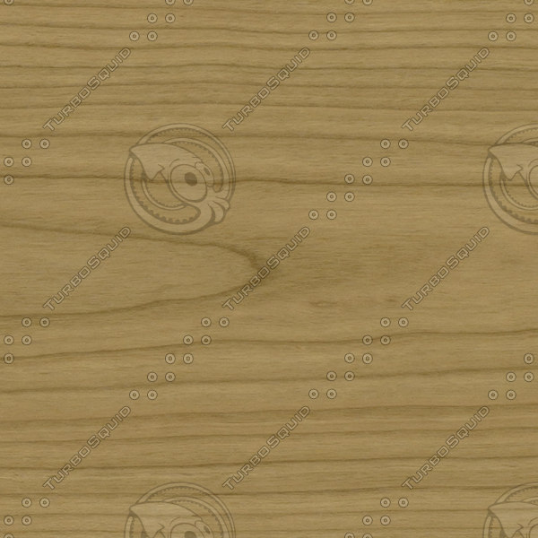 Texture Photoshop oak branch alpha