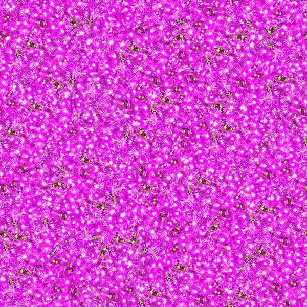 Shapes Adobe Illustrator flower gears pattern