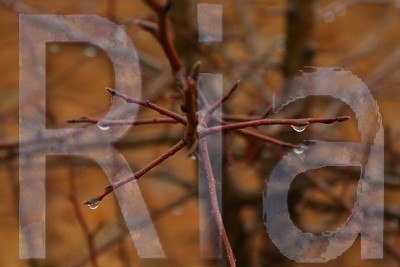 Stock JPEG stick spider red