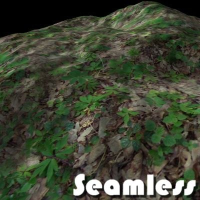 Texture JPEG forest grass gras