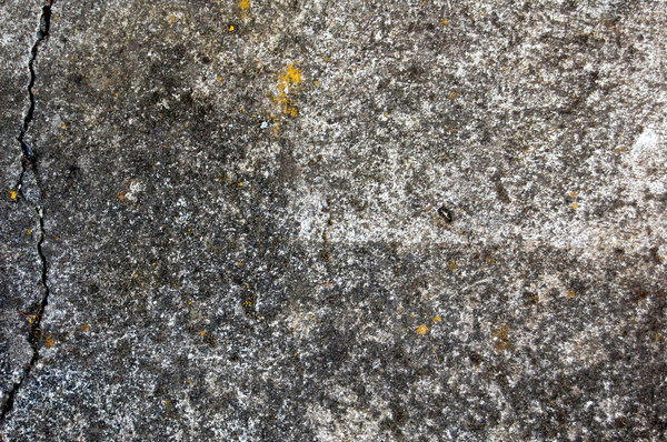 Texture cement ground pavement