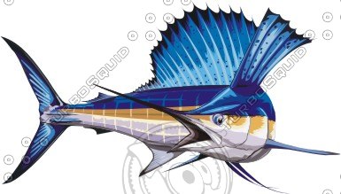 Shapes Adobe Illustrator fish vector animal