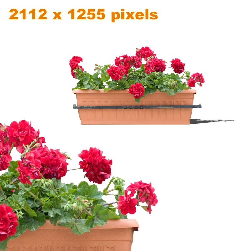 Texture Photoshop Green Plant Collection