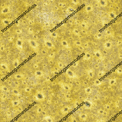 Texture JPEG frog skin texture