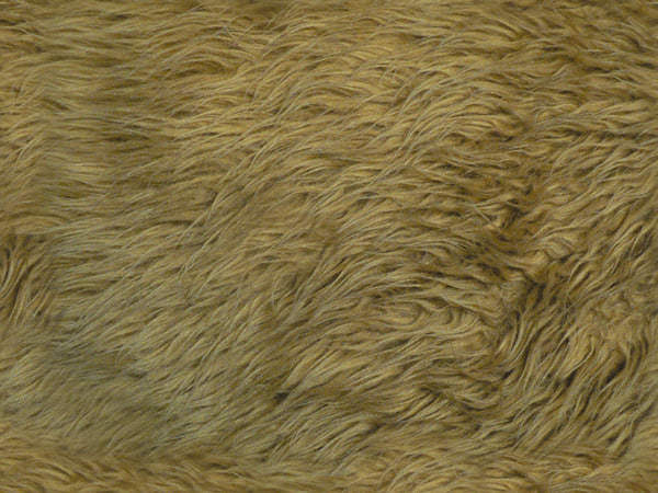 Texture JPEG fur map photo