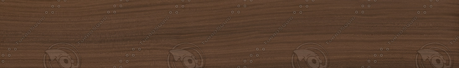 Texture JPEG oak tree