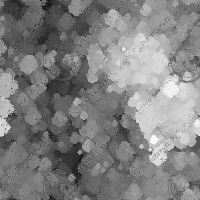 Texture TIFF disp organic 16bit