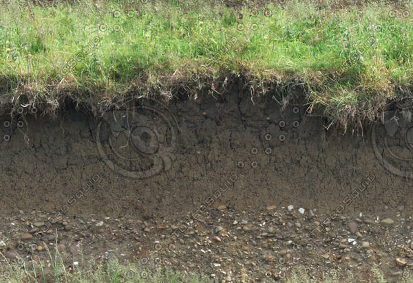 Texture JPEG riverbank bank river