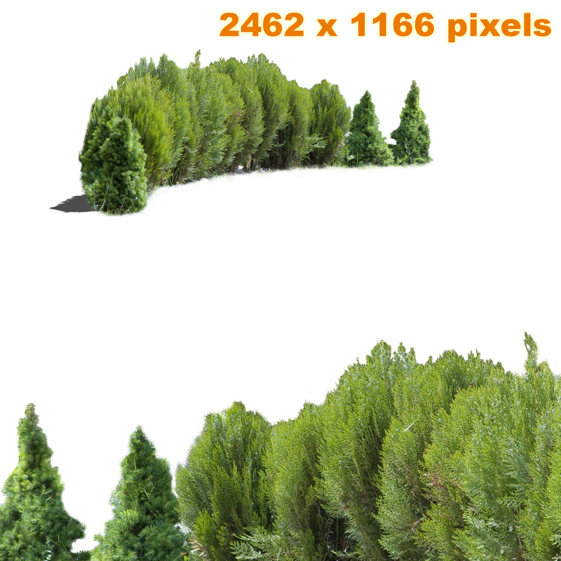 Texture Photoshop Green Plant Collection