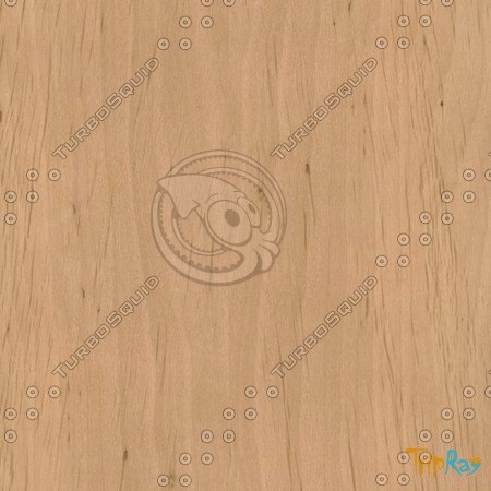 Texture JPEG soft maple wood