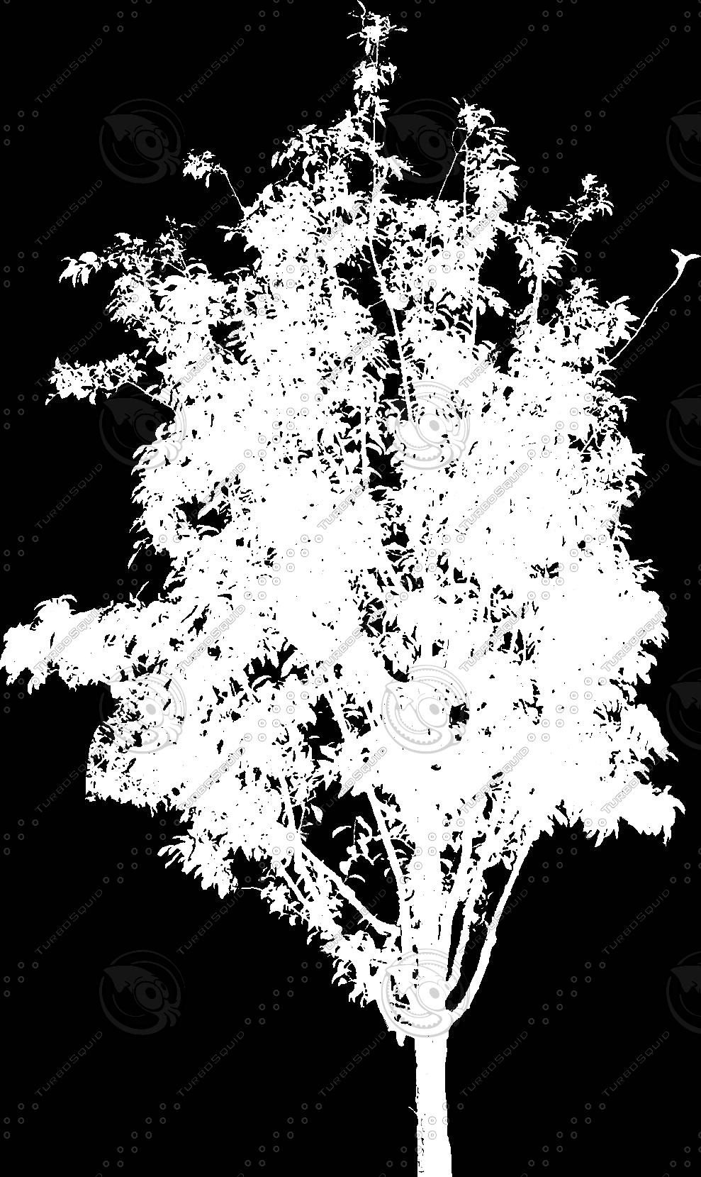 Texture JPEG tree billboard high