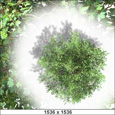 Texture Photoshop top view middle