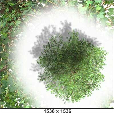 Texture Photoshop top view middle