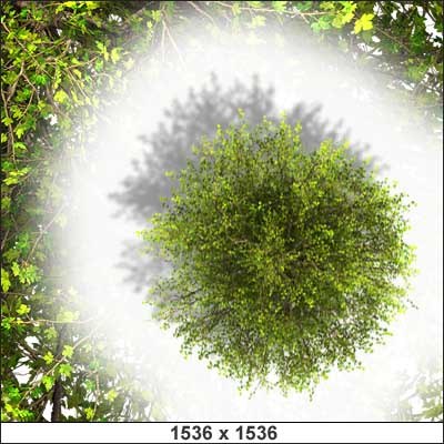 Texture Photoshop top view middle