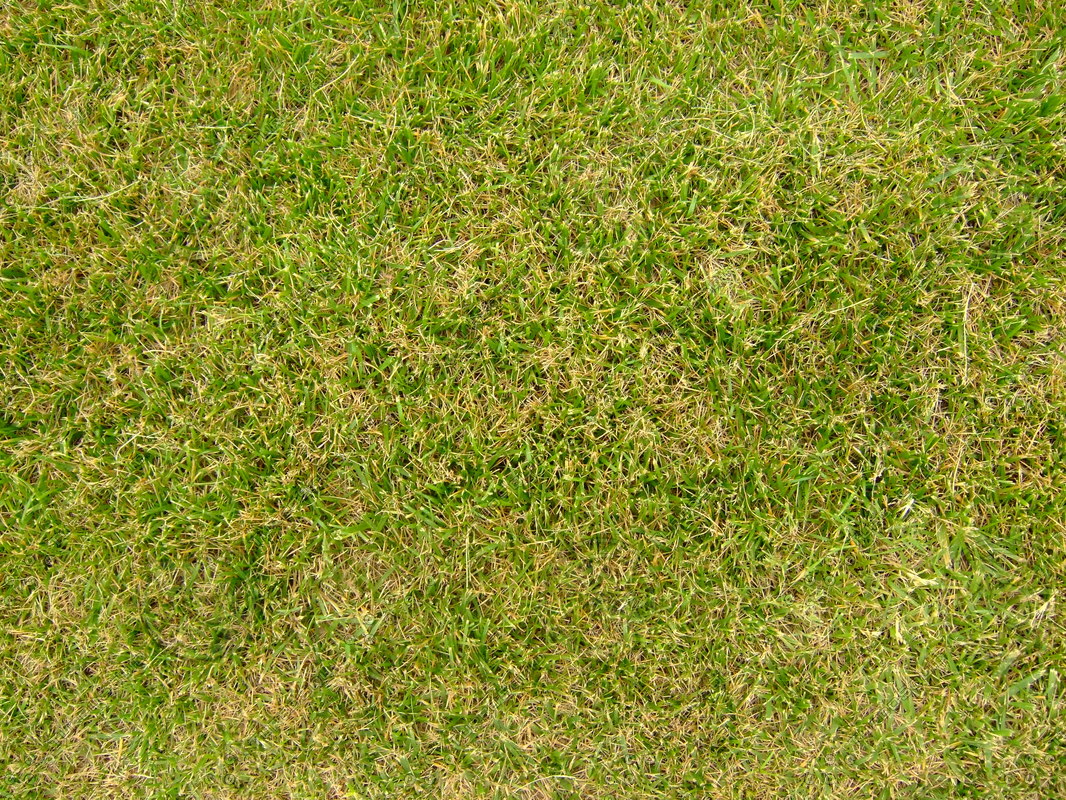 Texture JPEG lawn ground green