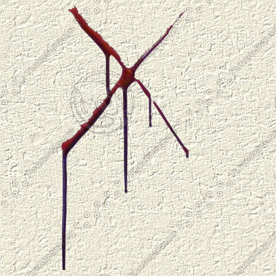 Texture PNG blood drips horror
