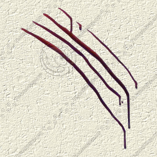 Texture PNG blood drips horror
