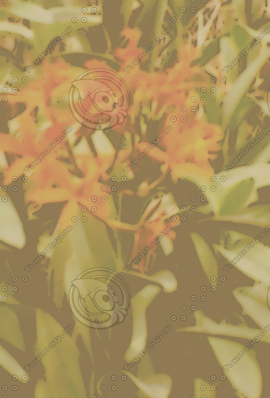 Texture JPEG background abstract abstraction