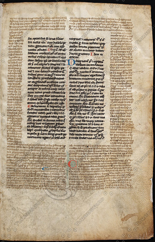 Texture JPEG medieval page illuminated
