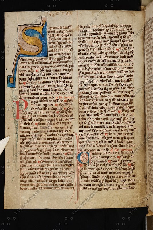 Texture JPEG Medieval Manuscript Page